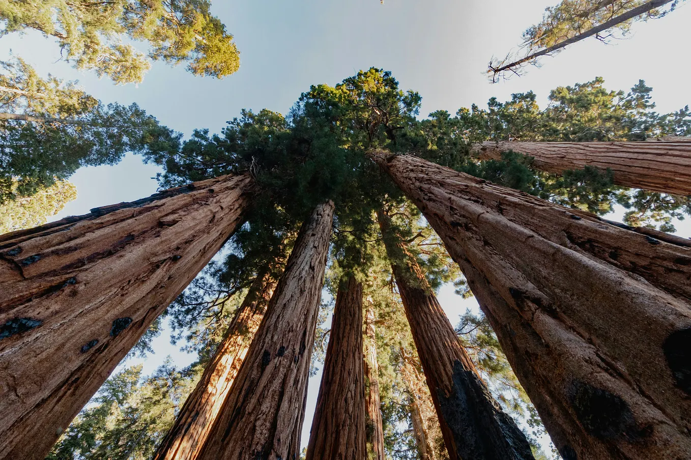 The Best BigQuery SQL Cheat Sheet for Beginners | by datadice | Data ...