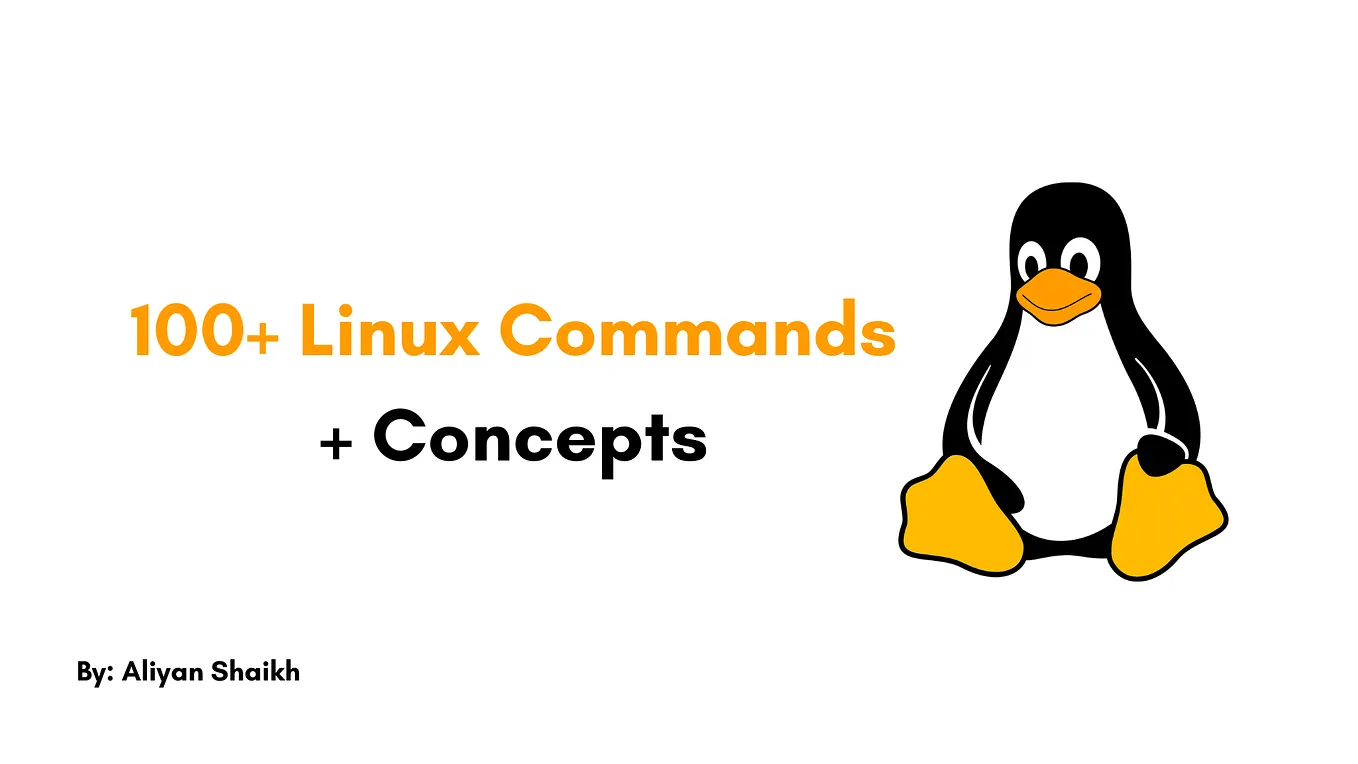 Why Every Python Script Starts With #!/usr/bin/env python3 | Cloud For Everybody