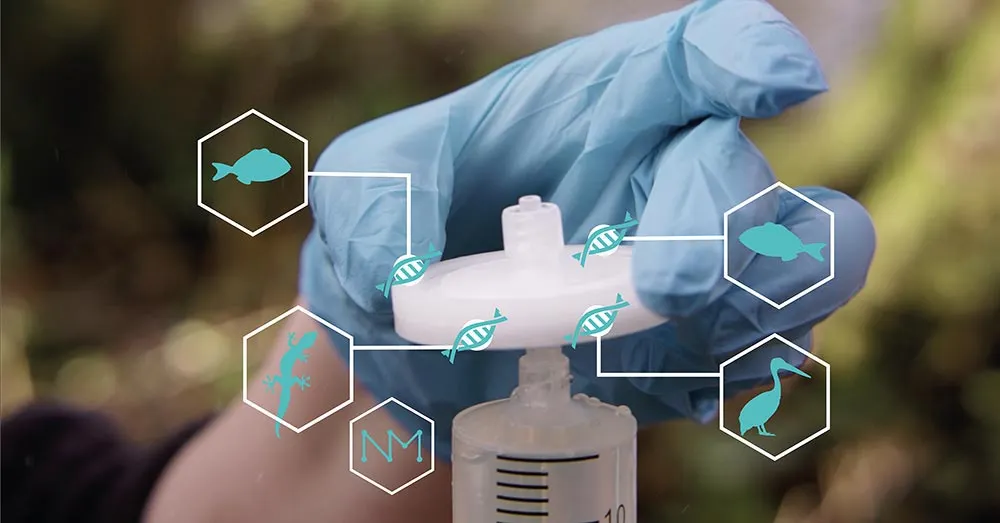 Why we invested: Jua. Redefining Weather Intelligence for the… | by Ananda Impact Ventures ...