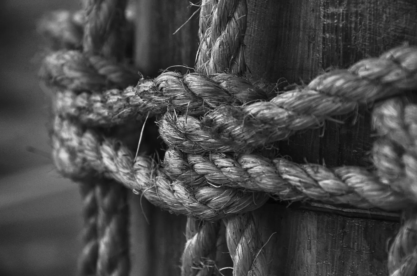 HUMANE BURPEE. The longer I work in the weightroom… | by Dan John | Medium