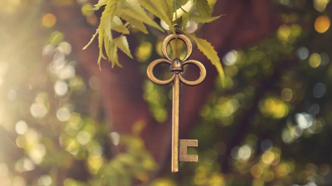 Building Secure APIs with Spring Security and JWT: A Step-by-Step Guide | by Amarendra Babu ...