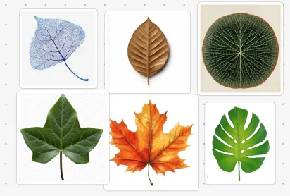 Simple Elliptical Animation with Canvas in JavaScript | by Code With Marish | Medium