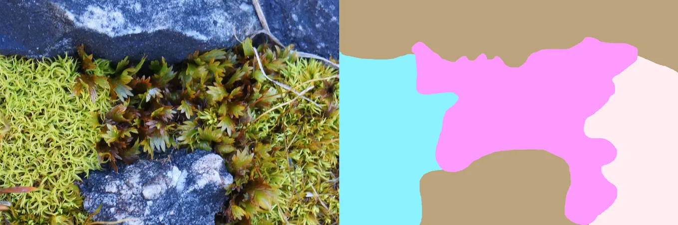 How to Evaluate Semantic Segmantation Models | by Stefan Herdy | Medium