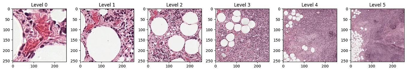 An Introduction to Evolutionary Algorithms with Python | by Soroush ...