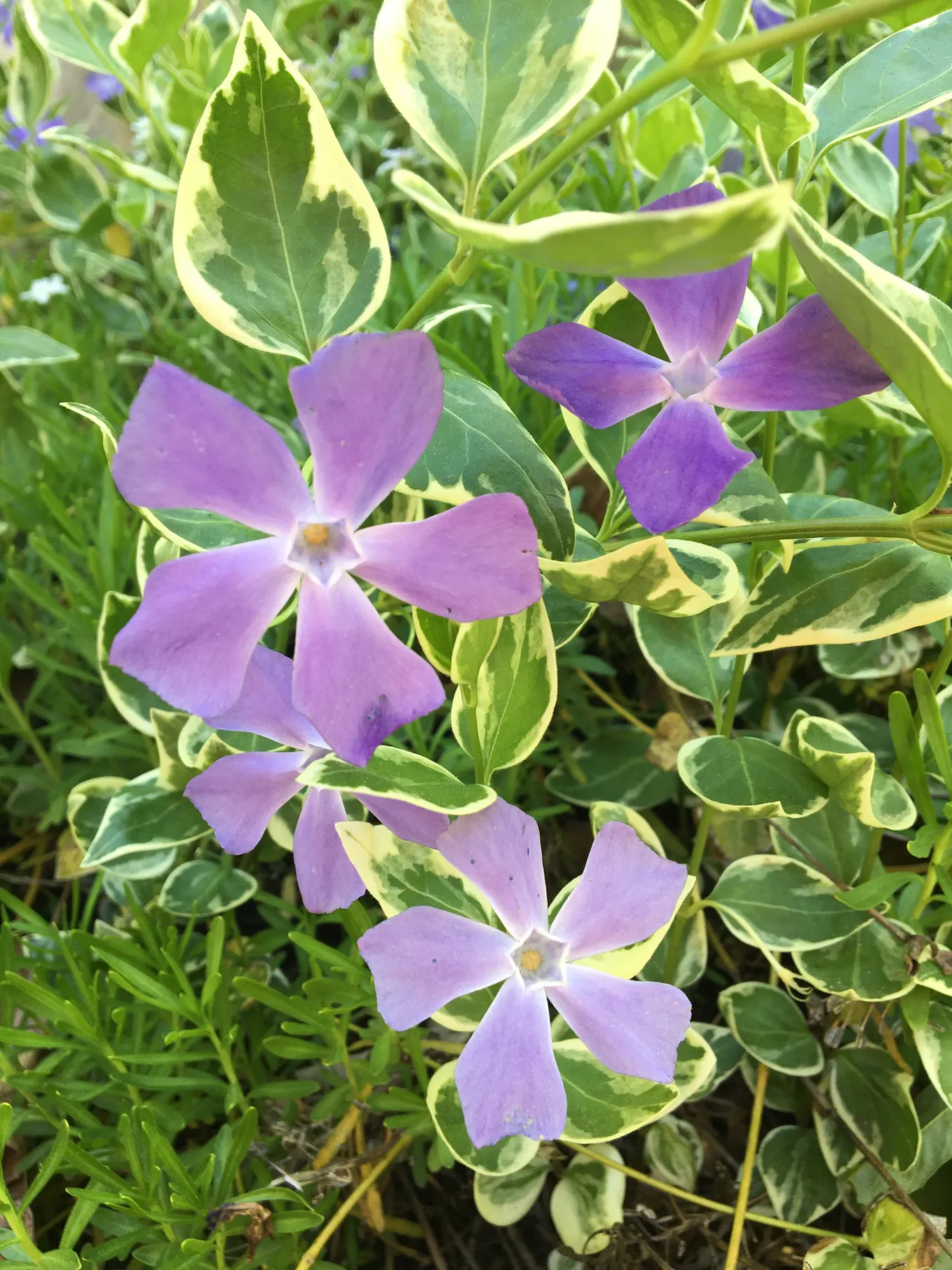 Poetry Is Patience. Micro poem: Embracing nothingness | by Breathe & Be ...