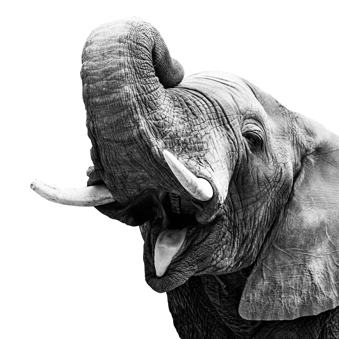 BigQuery CTEs by Example | TDS Archive