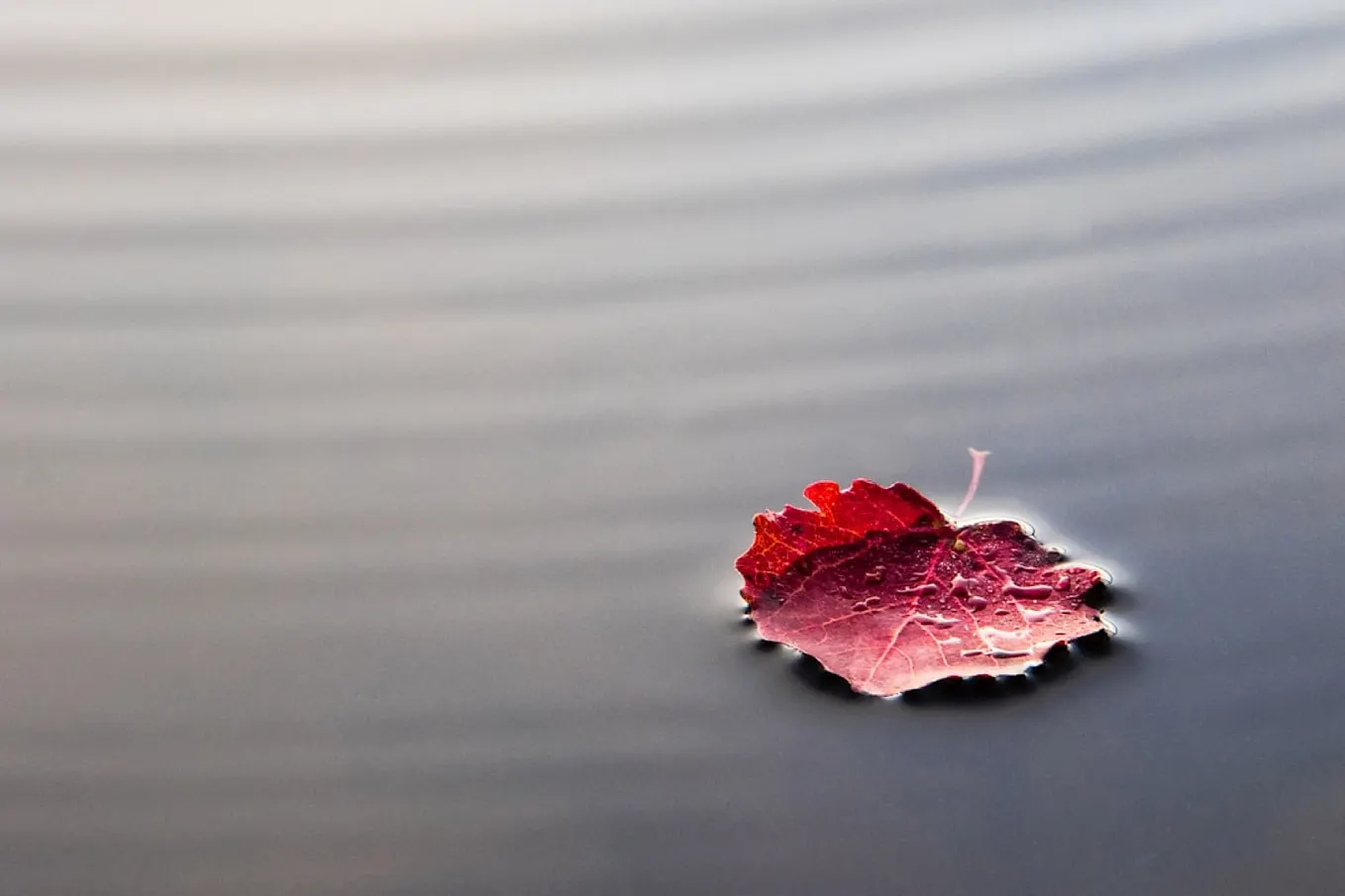 She Once Walked Backwards. A magical realist short story of memory ...