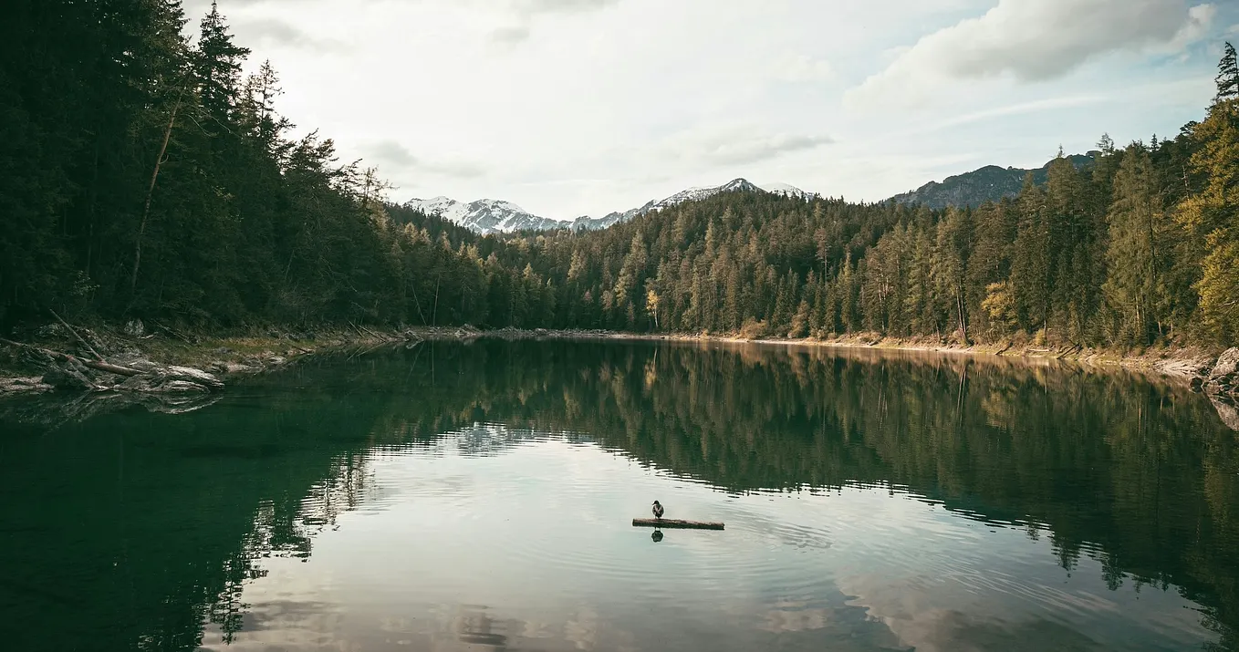 The 6-Strategy System (That Goes Mega Deep) to Brainwash Yourself to ...