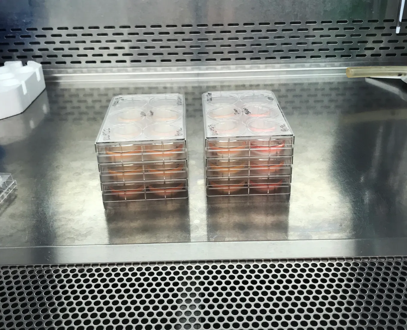Why I Left Cancer Research. I did love doing cancer research. I… | by ...
