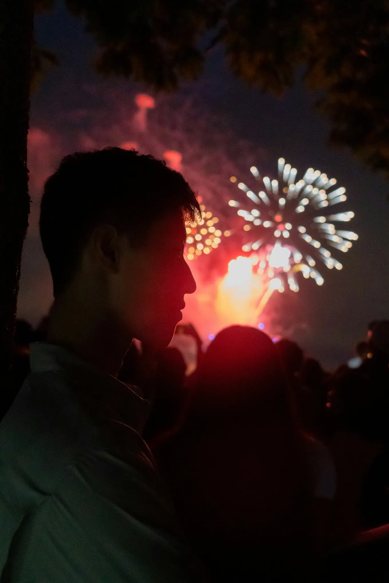 The Way He Calms My Avoidance. I don’t even think he’s even trying | by Long After the Thrill ...