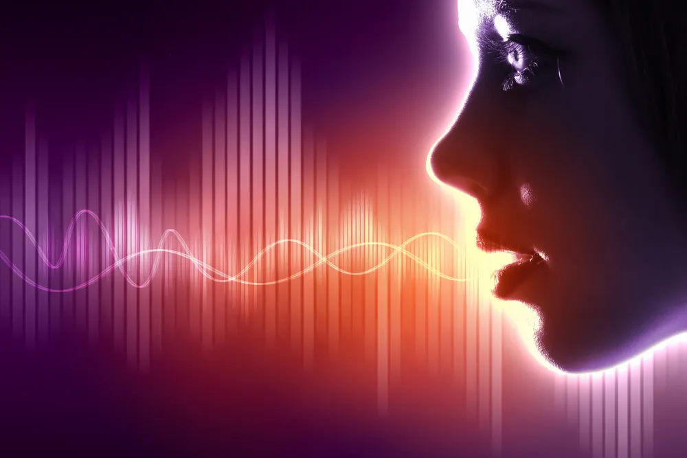 Voice Activity Detection for Voice User Interface. | by Rudy BARAGLIA | Linagora LABS | Medium