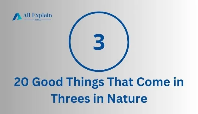 What is Threes. 2 Good Things That Come in Threes | by All Explain ...