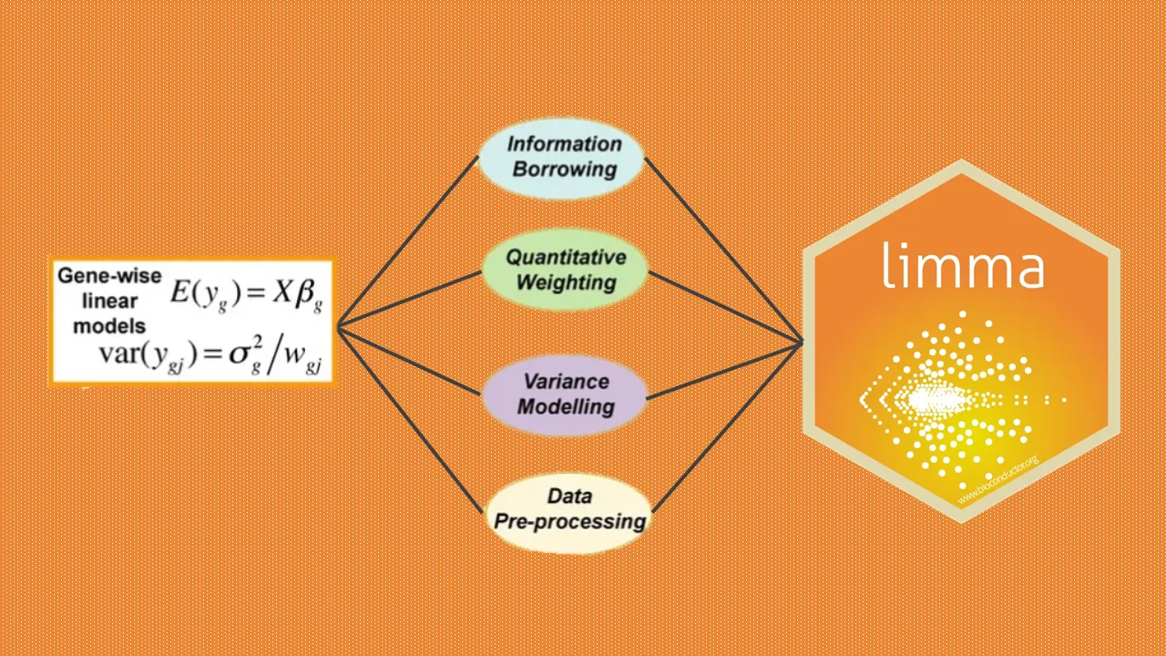 Automate Files & Folder Management with Batch Scripting | by Ghazala Sultan | Medium