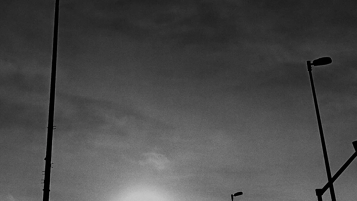 Data Structures In Typescript Traversable N Ary Tree Part 1 By Alexandre Lopes Medium