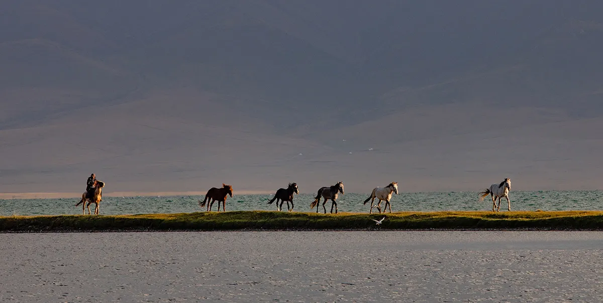 A photographer’s relentless search to discover his calling! | by Arun ...