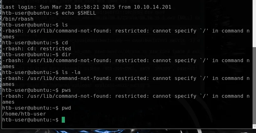 Understanding the Differences Between Unix Shells: bash, csh, dash, ksh, shh, tcsh, and zsh | by ...
