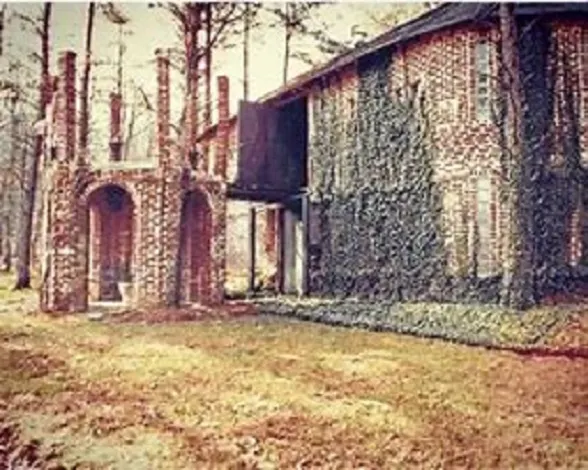 The Forgotten Children of Willowbrook: A Dark Chapter in Psychiatric ...