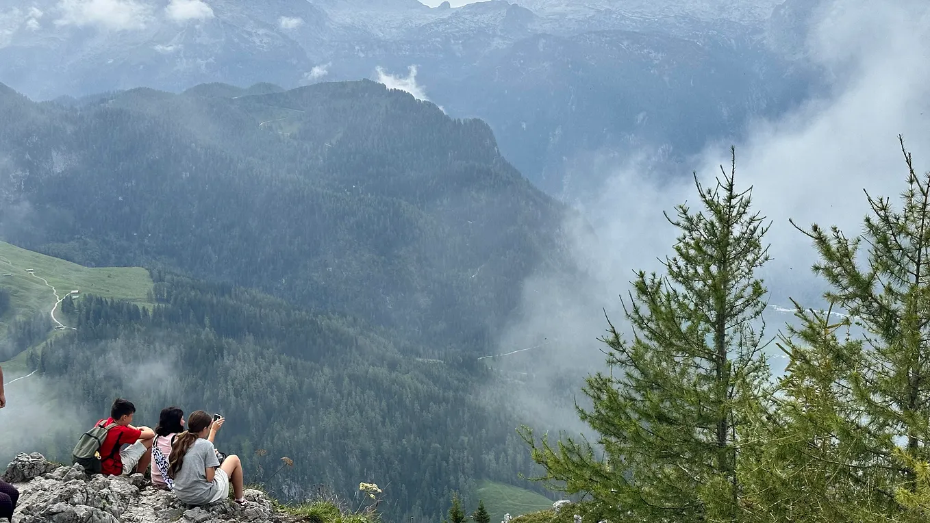 Understanding Angular 19s Resource Api Use Cases Design Rationale And How It Compares To