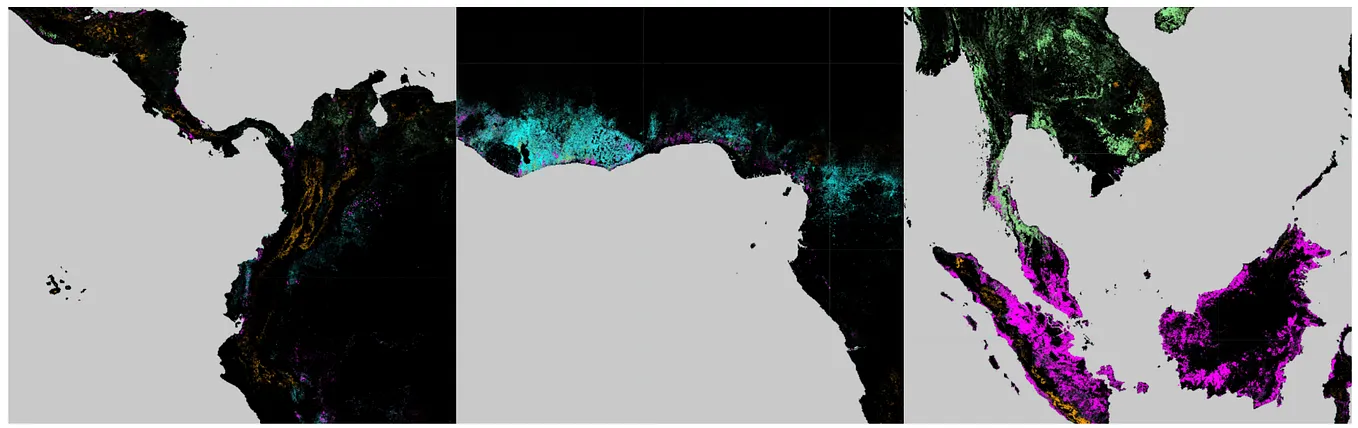Bring more of your data to Google Earth with new shapefile and 3D model ...