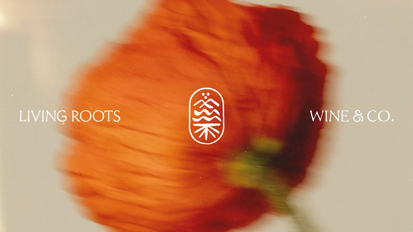 Branding perplexity.ai. Creating an invisible brand. | by Smith ...