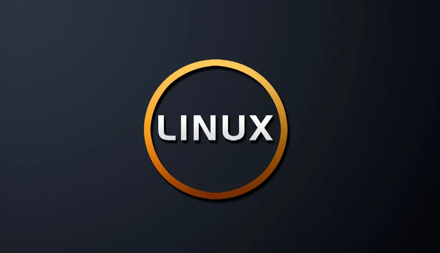 Unraveling Python File Types: .py, .ipynb, .pyc, .pyi, .pyd | by Tony | Dev Genius
