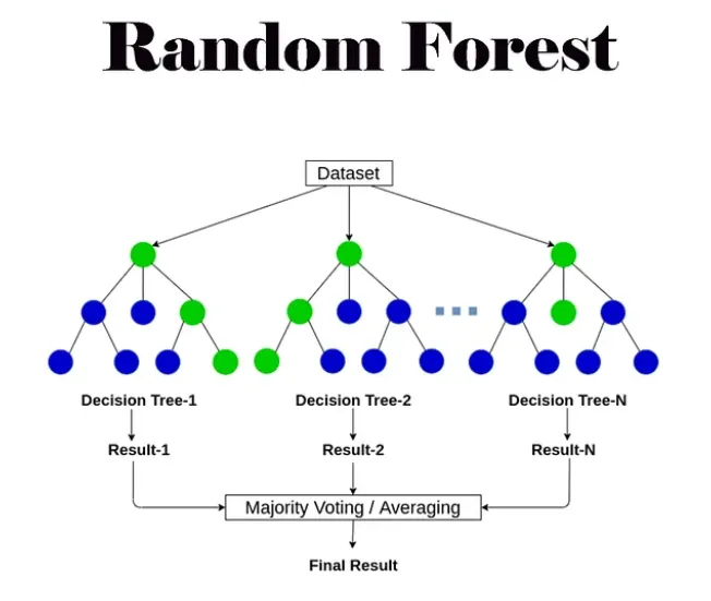 AIN311 PROJECT — Octagon Insights: Predicting UFC Fight Outcomes with ...