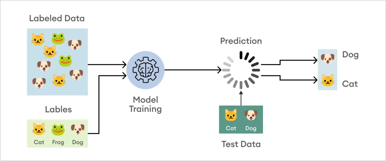 Convolutional Neural Networks (CNNs) in Deep Learning: A Comprehensive ...