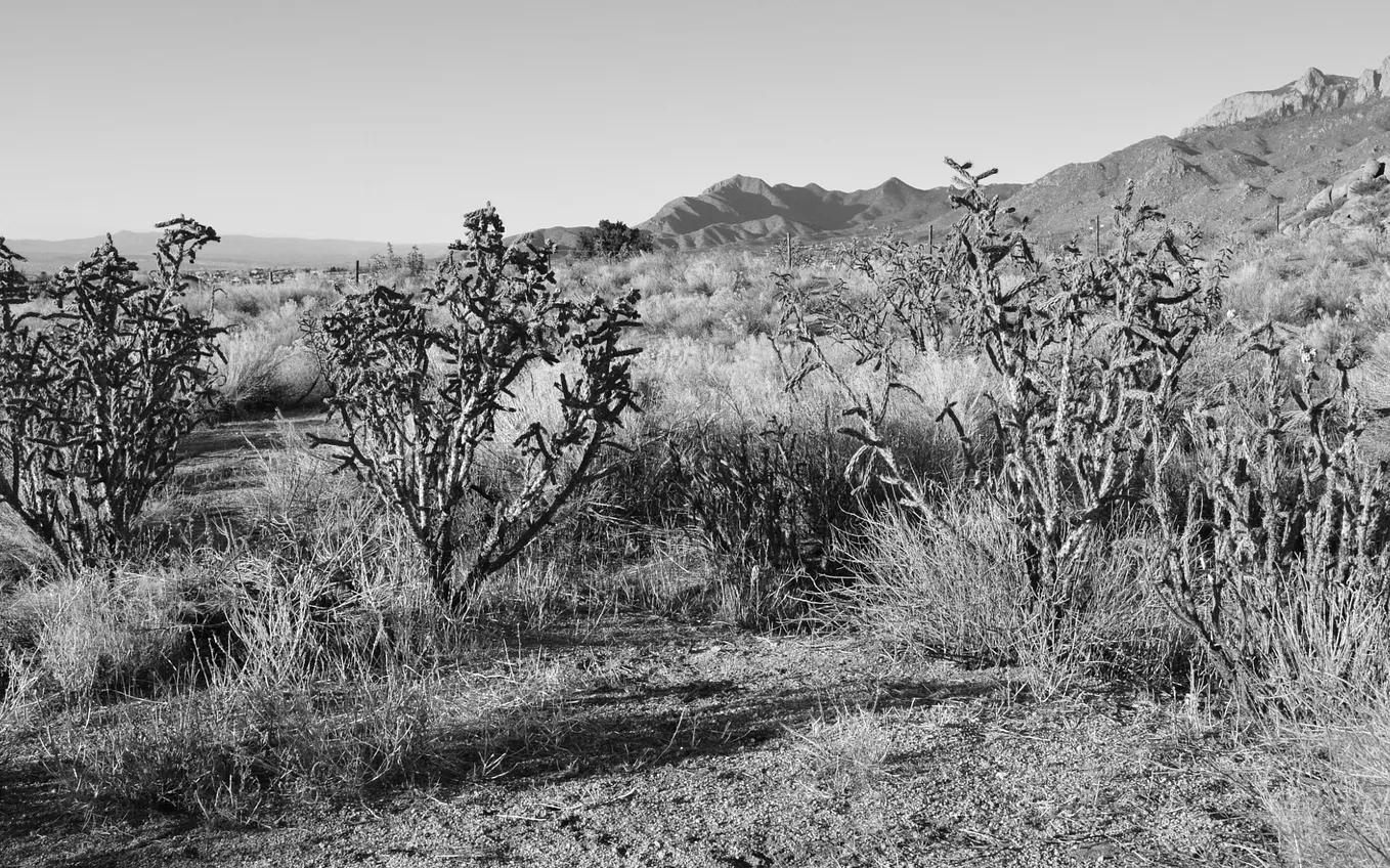 “Haunting the Narrative". a character's influence on a story… | by nini | Medium