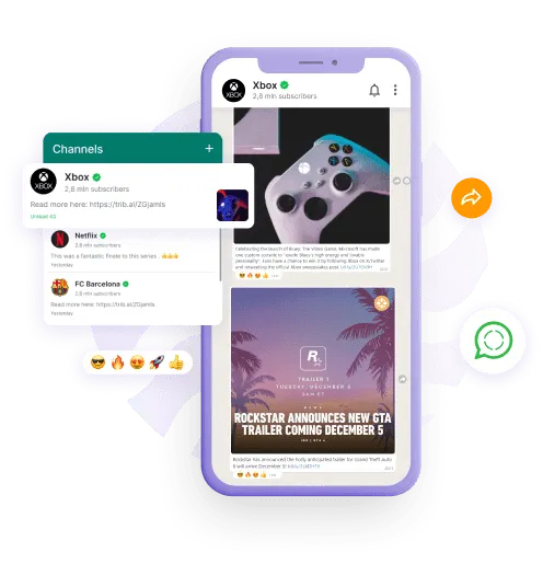 WhatsApp Number Checker: Source code for developers | by Whapi.Cloud API | Medium