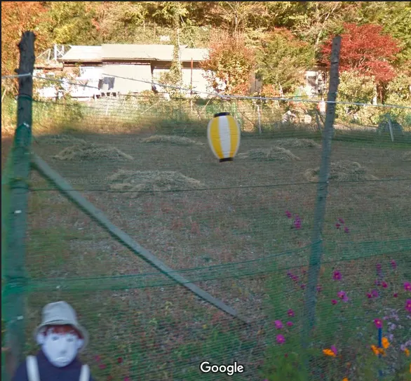 CTF Write-Up: “Who Is Adminˮ — SQL Injection (Medium) | by JY00X3 | Nov ...