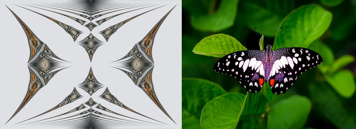 How to Plot Hofstadter Butterfly Fractal in Python | by Umut Can Turhan ...