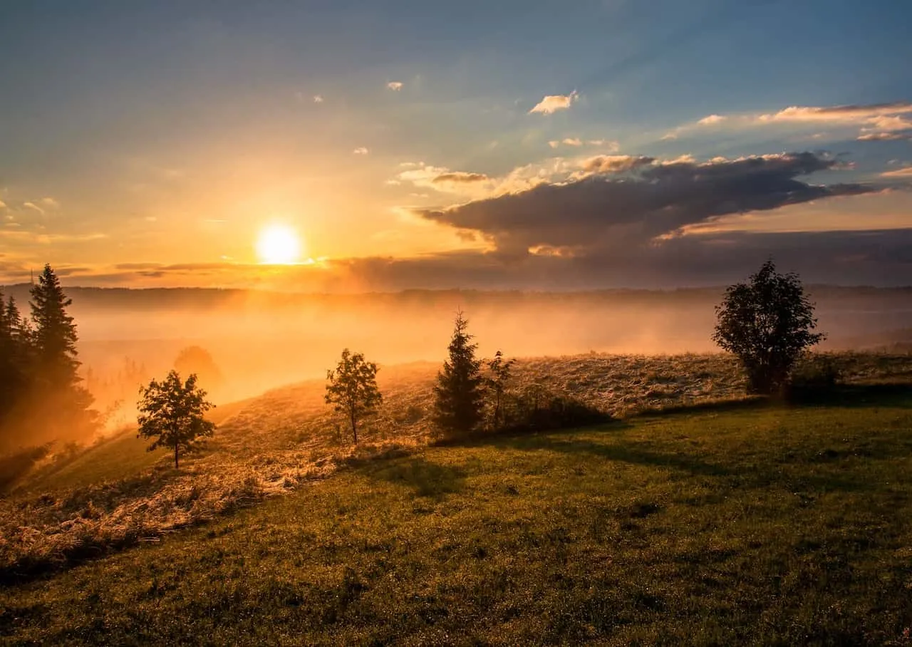 Open Mind: Your Passport to a Multipolar World | by Yogesh Gupta | Medium