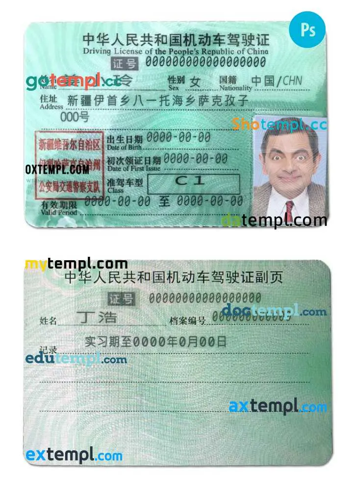 International Translation of Driver’s License PSD template, with fonts ...