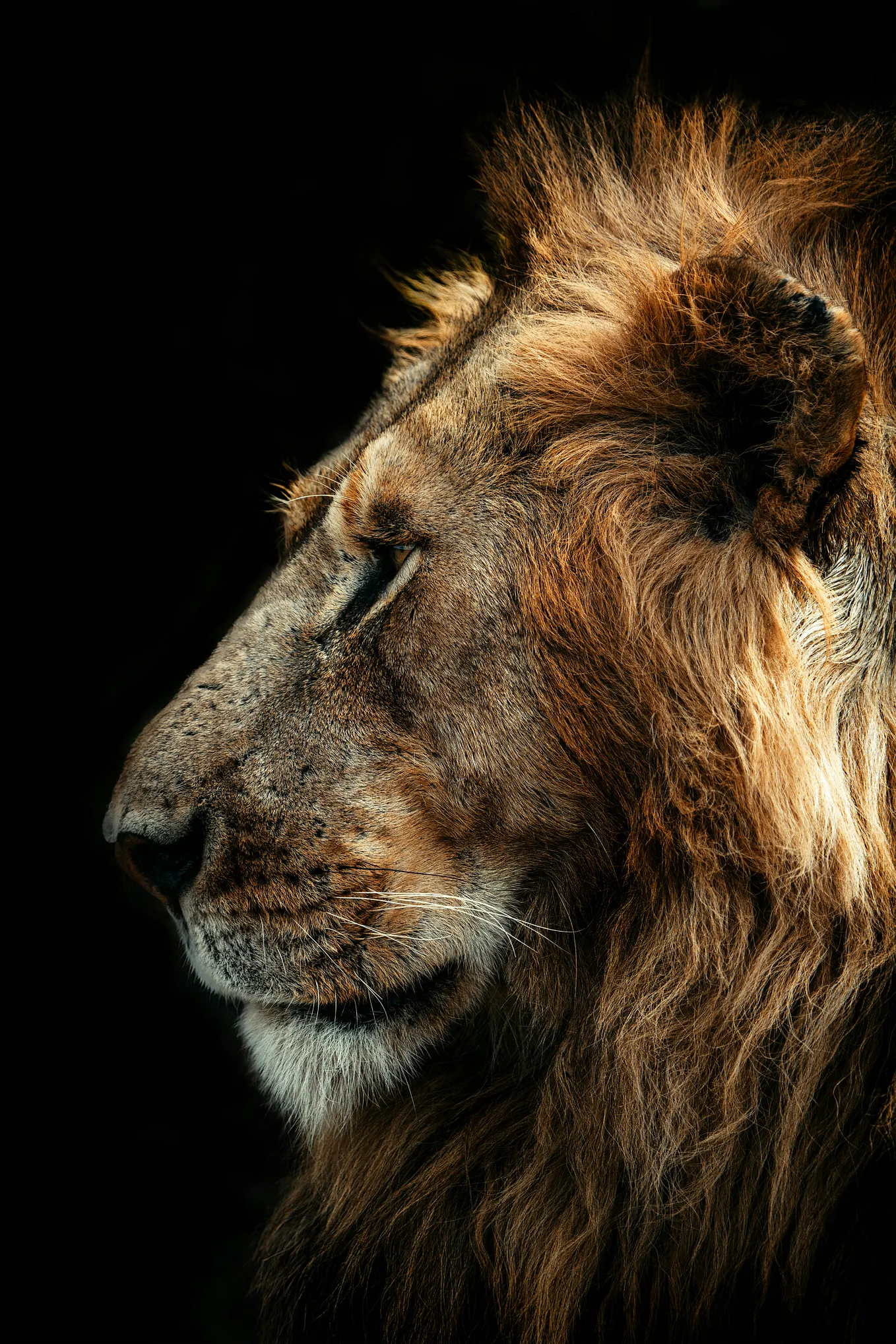 Using Openai Api For Recommendation Systems Techniques And Best Practices By Mw Ai