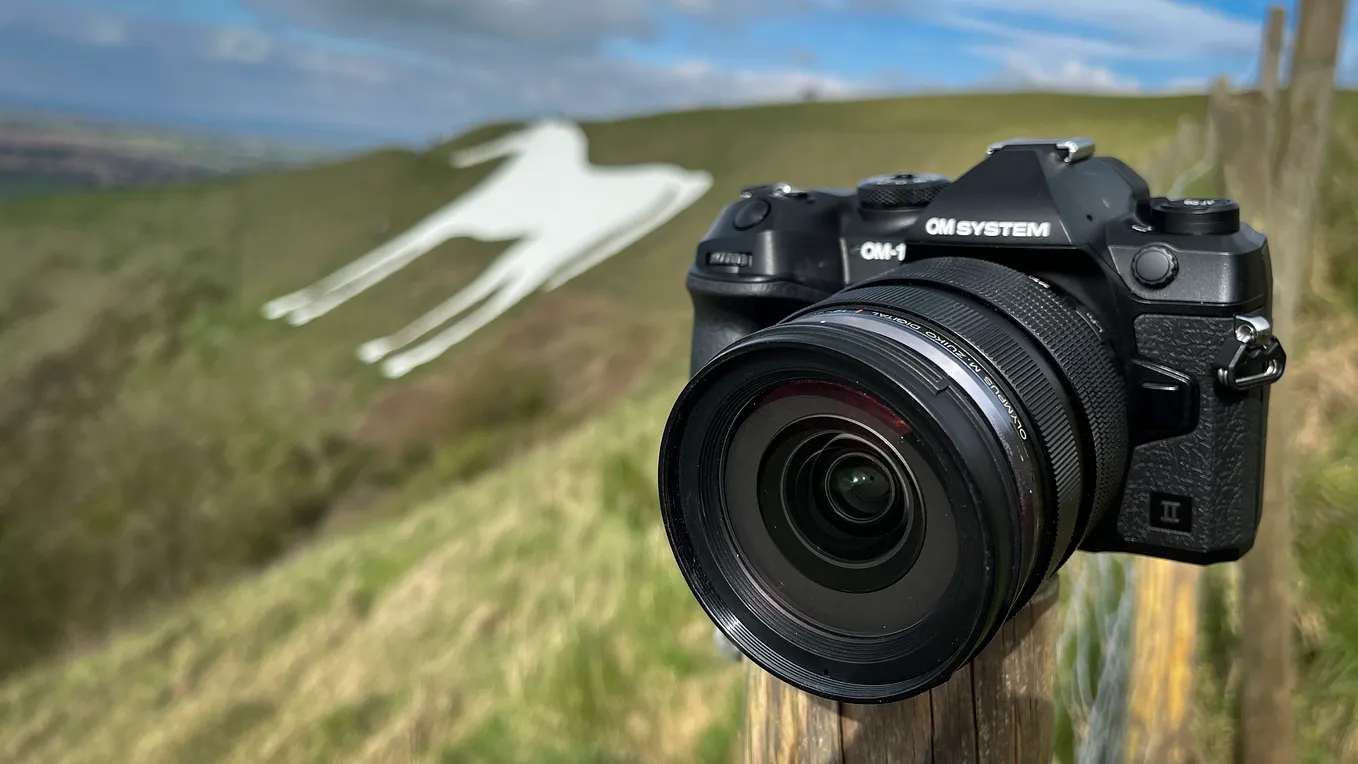 The Ultimate Wildlife Camera Trap Setup Guide (Pro Tips from Years in ...