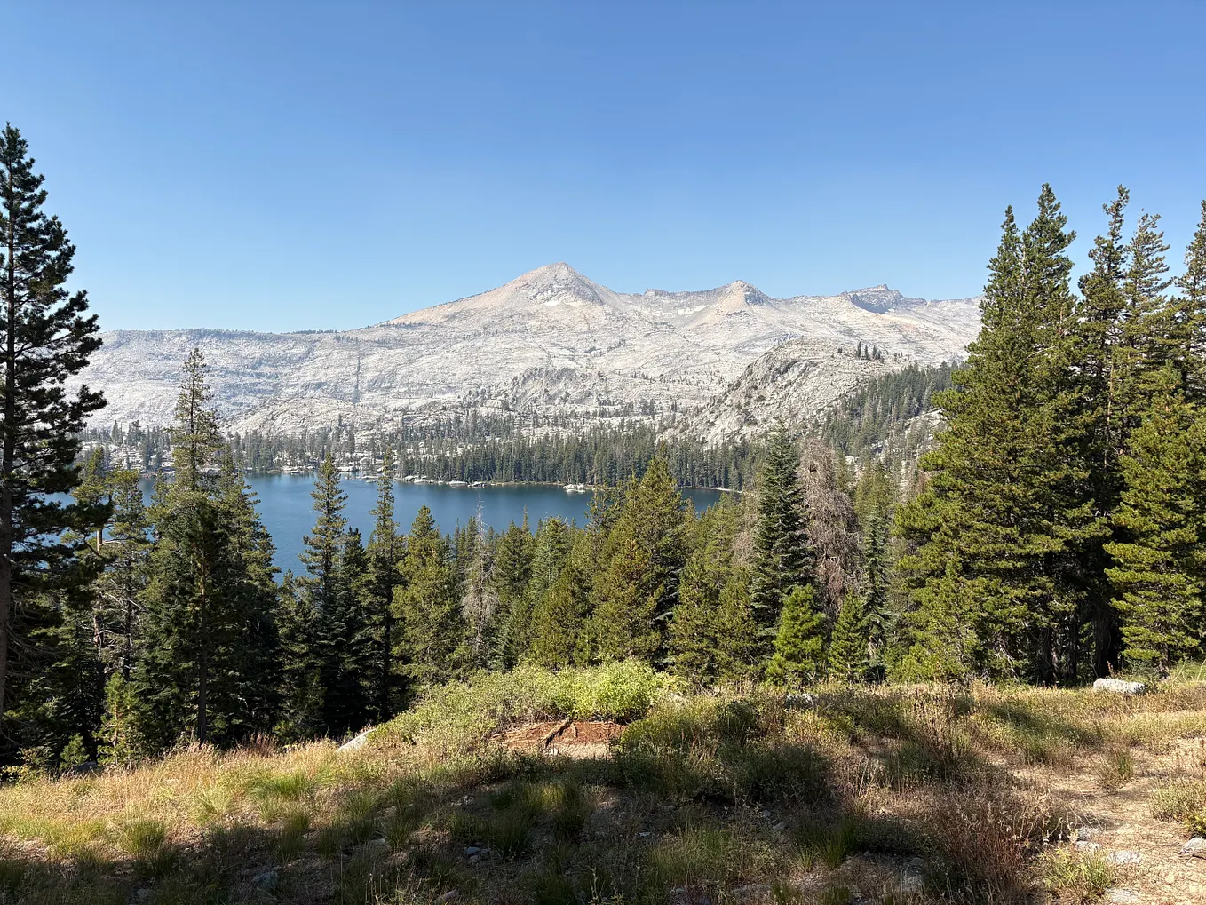 Object Oriented Programming Oop Vs Procedural Oriented Programming 3721