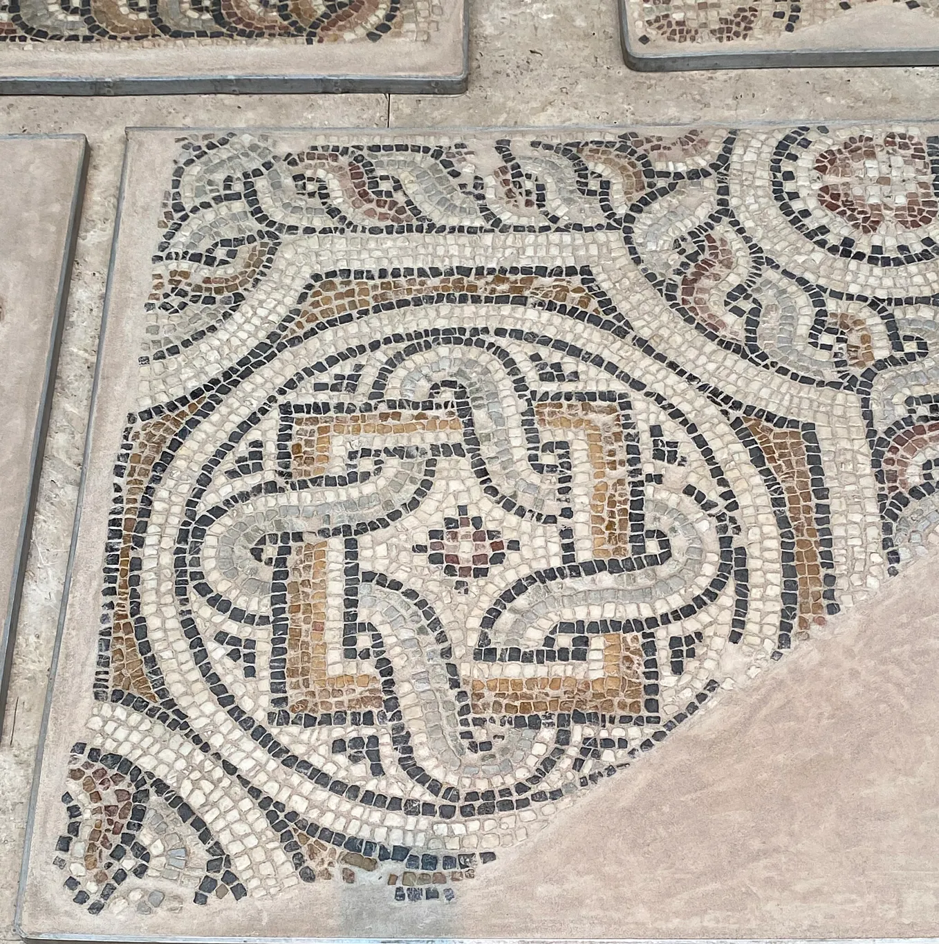 The Symbolic Language of the Grapevine: Decoding Ancient Messages ...