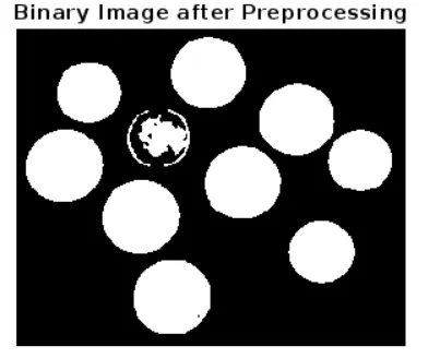 Edge Detection Techniques in MATLAB | by Alishba Rizwan | Medium