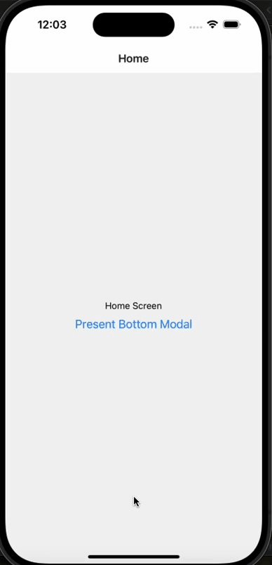 Nested Modals: Implementing a Confirmation Modal within a Bottom Sheet ...