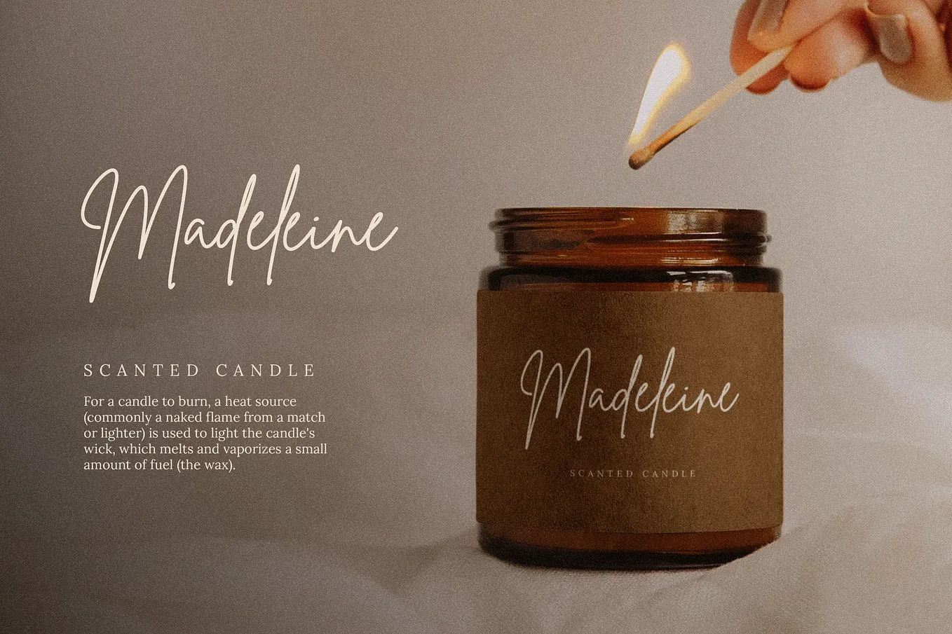 6 Best Money Font for Upscale Your Finance-Related Designs | by ...