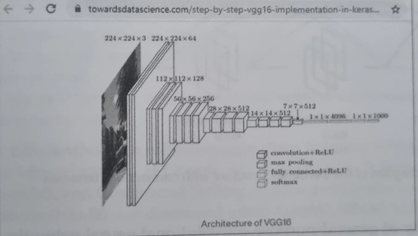 CNN Layers Visualization. During the development you may to see… | by A ...