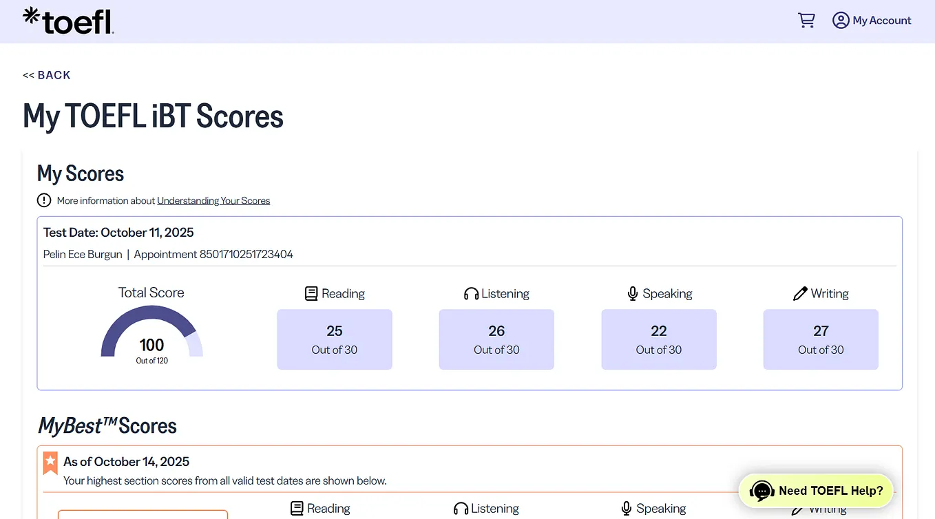 7 Things to Know Before Your AI Engineering Internship | by Pelin Ece ...