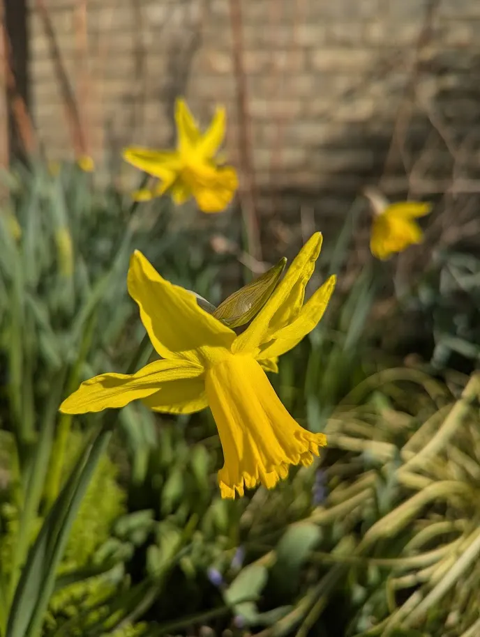 The most insightful stories about Algorithms - Medium