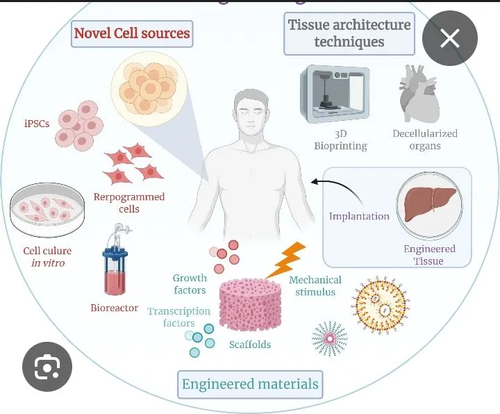 The AI Revolution in Biomedical Engineering – A Closer Look | by ...