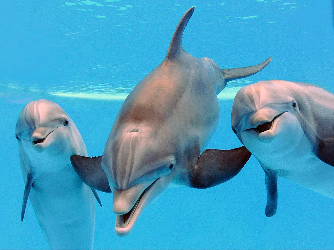 Get All Your Fitbit Data, Then Use It | Medium