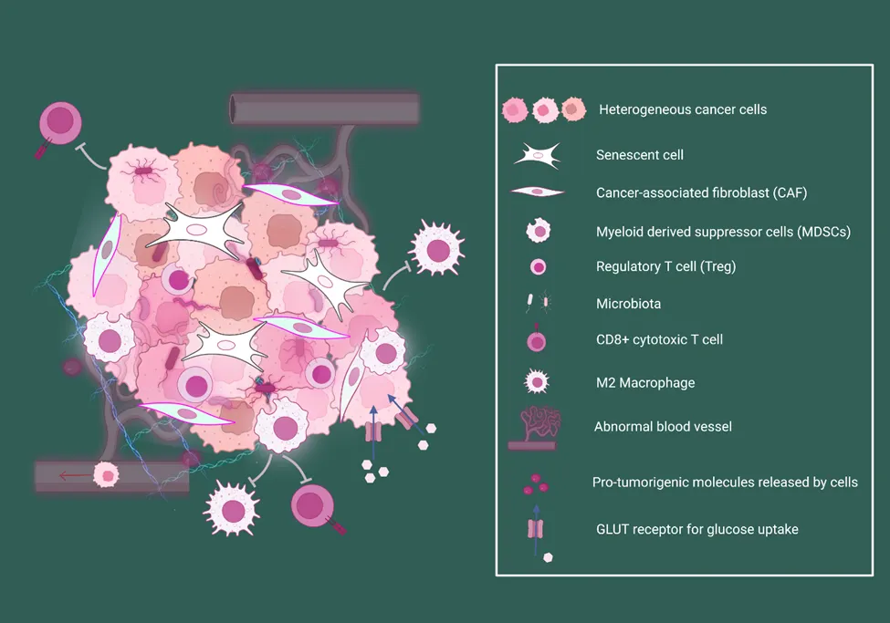 A Brief Understanding of the Cancer Hallmarks and Enabling ...
