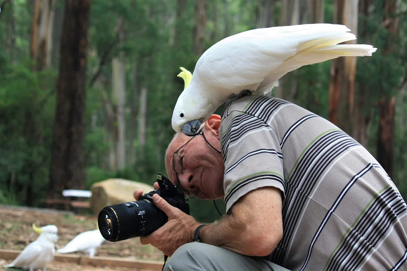 Best Zoom Lens for Sony E Mount. Finding My Zoom: The Quest for the ...