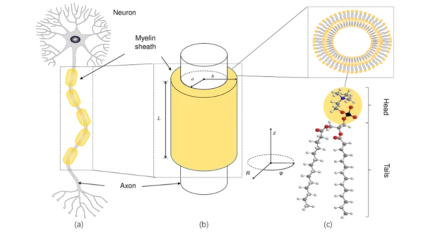 A Brief Introduction to Quantum Key Distribution (with Python Code ...