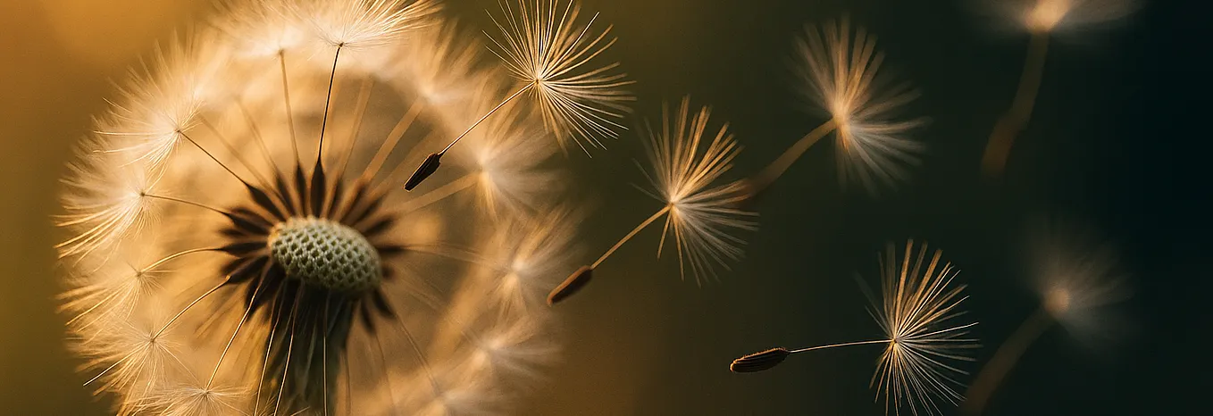 Role Clarity: The Foundation of Empowerment in High-Performing Teams ...