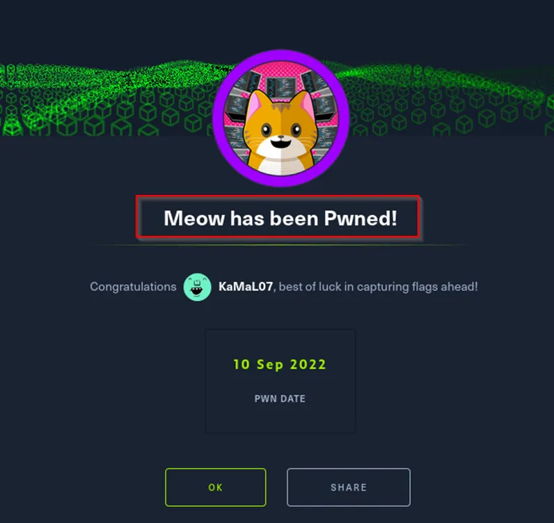 OWASP WebGoat: General — Lesson Solutions of HTTP Basics, HTTP Proxies & Developer Tools | by ...